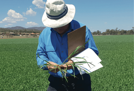 Integrated Agribusiness | FIAL Main