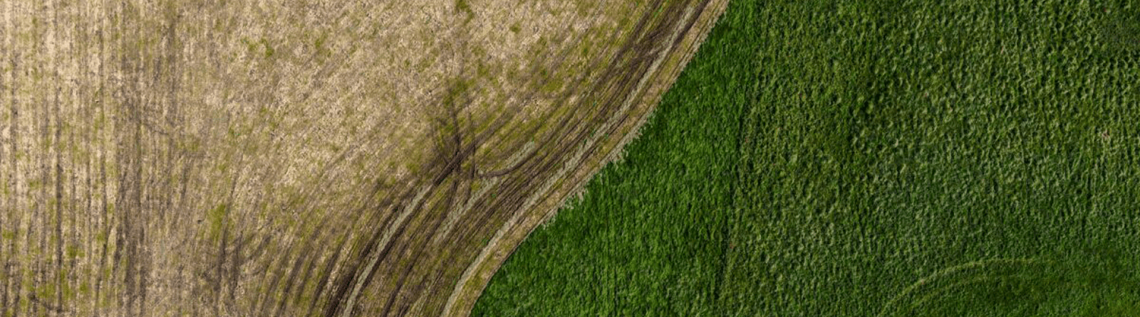 The Victoria Drought Hub