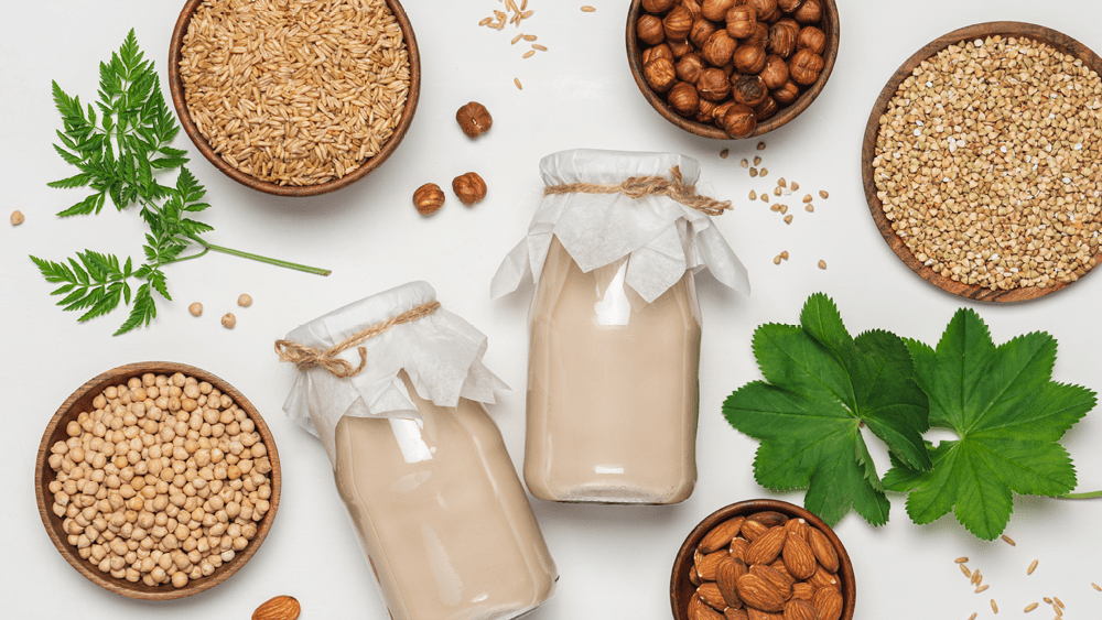 Plant Based Protein Alternatives at Noah Hargrave blog