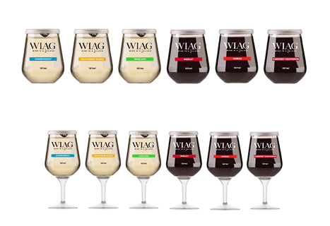 Business Case Studies | FIAL Main