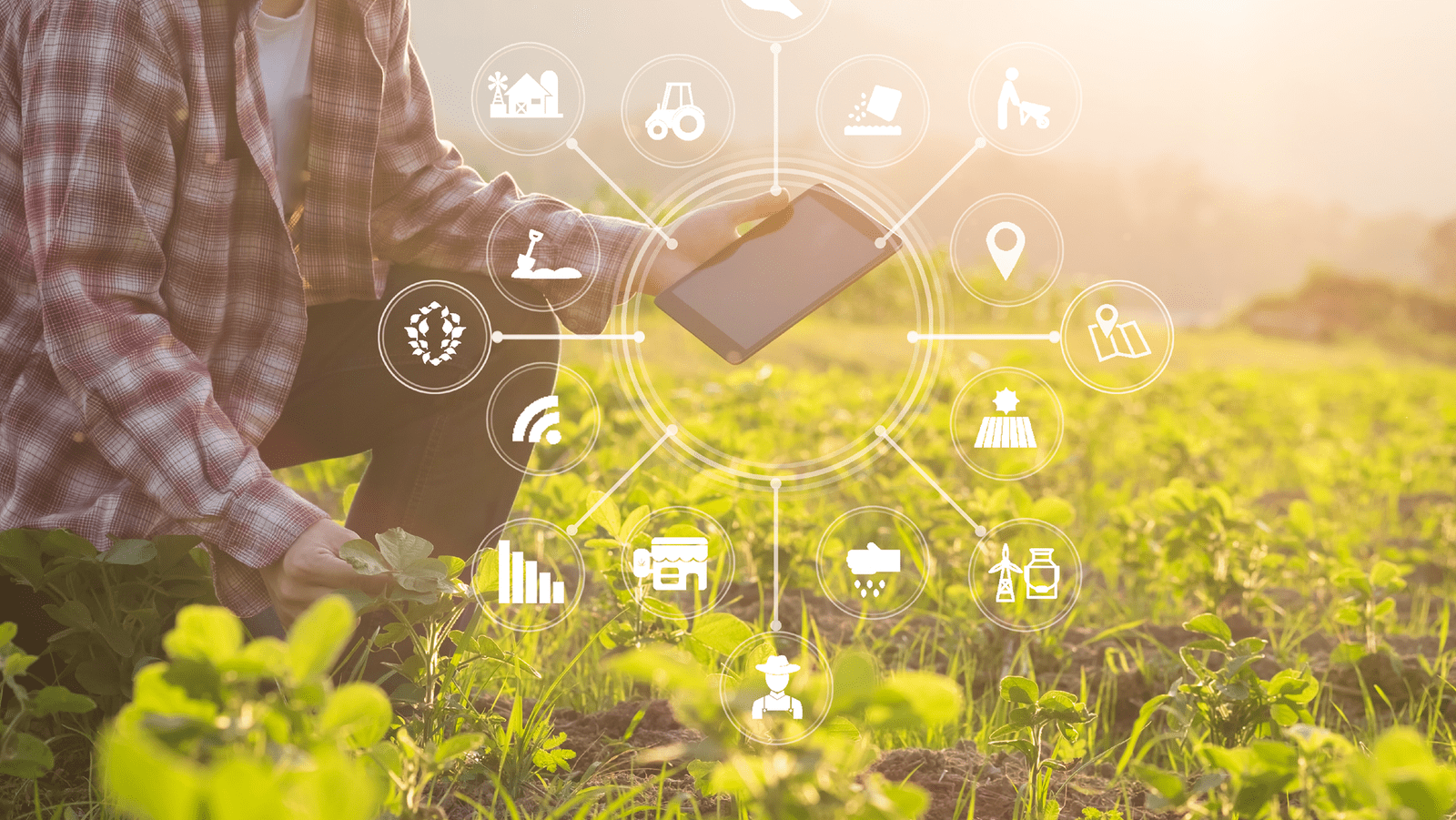Technology in Smallholder Farms
